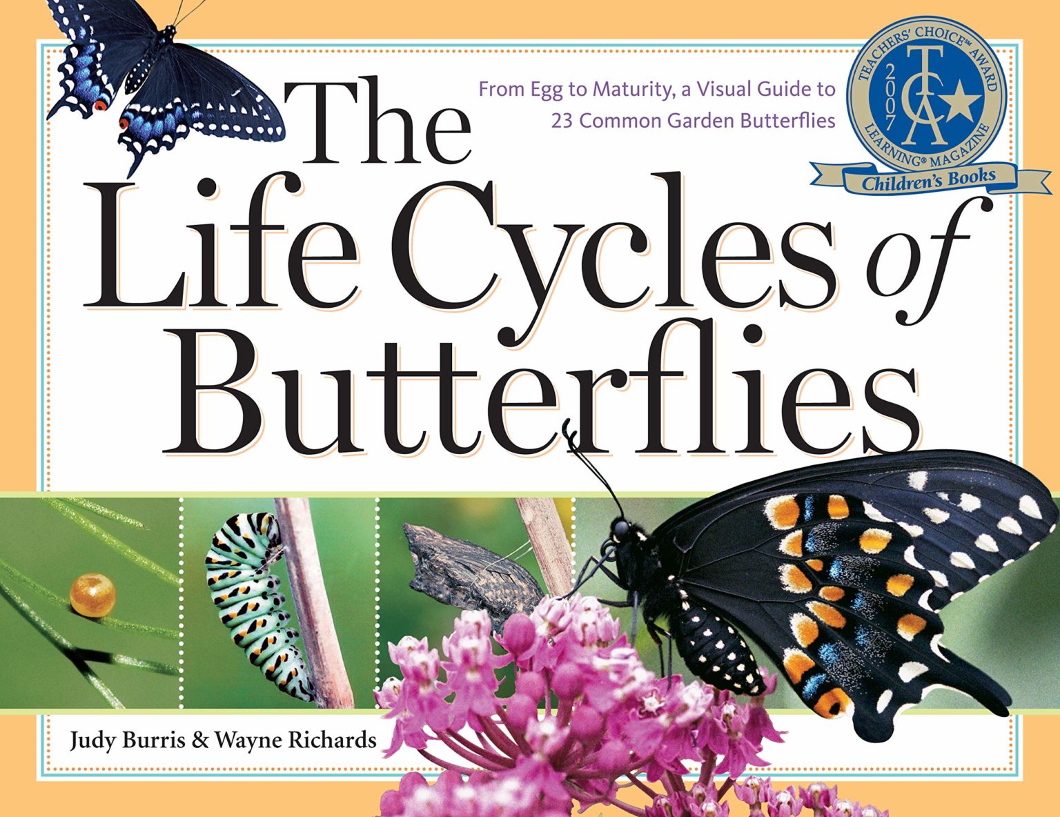 Top Six Butterfly Books – Butterfly Lady