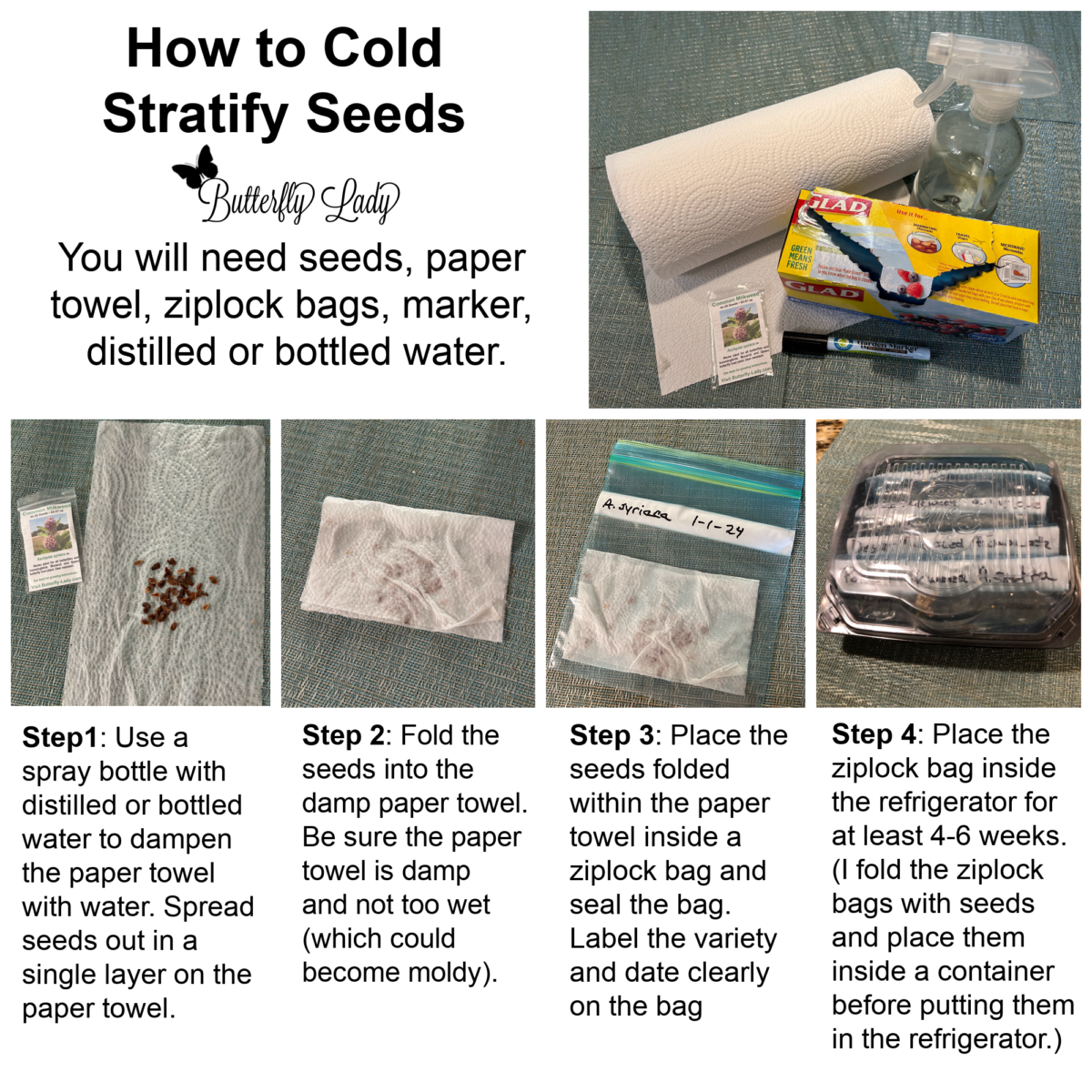 Three Ways to Sow Native Milkweed Seeds – Butterfly Lady