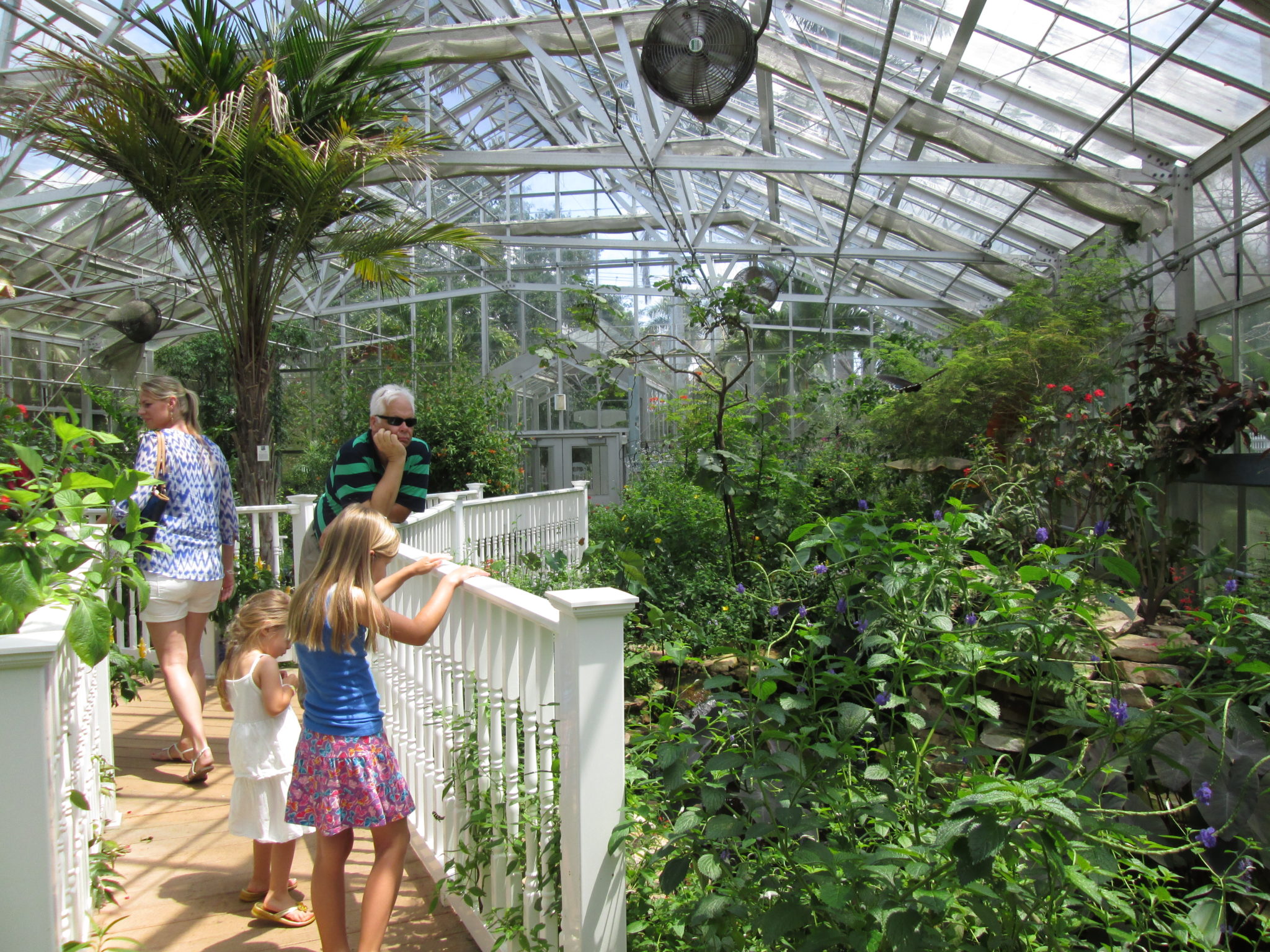 Butterfly Season – Butterfly Lady