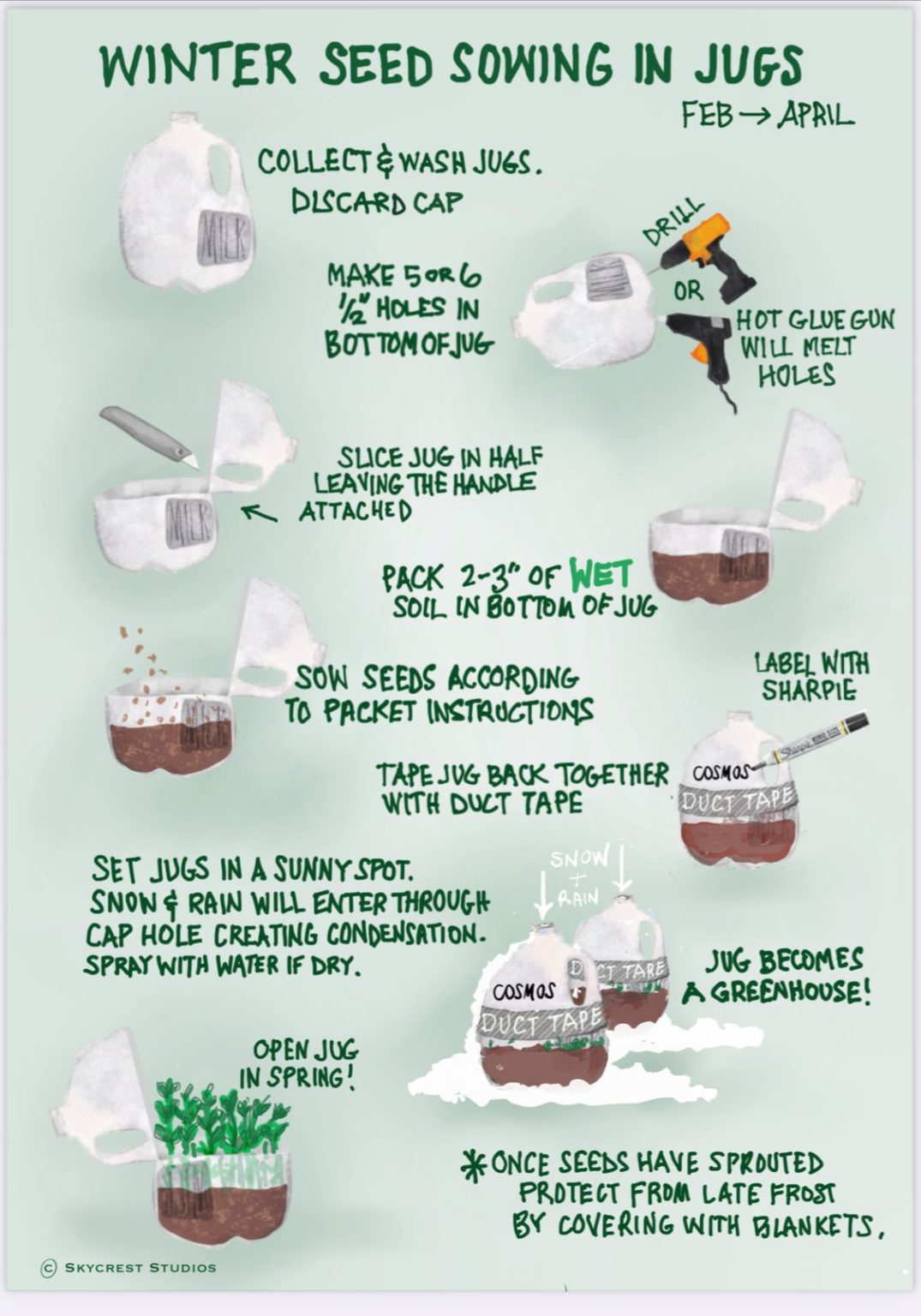 Three Ways to Sow Native Milkweed Seeds – Butterfly Lady