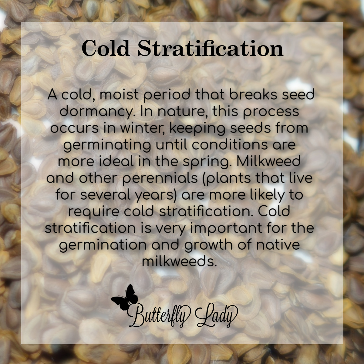 Seed Sitters – Butterfly Lady