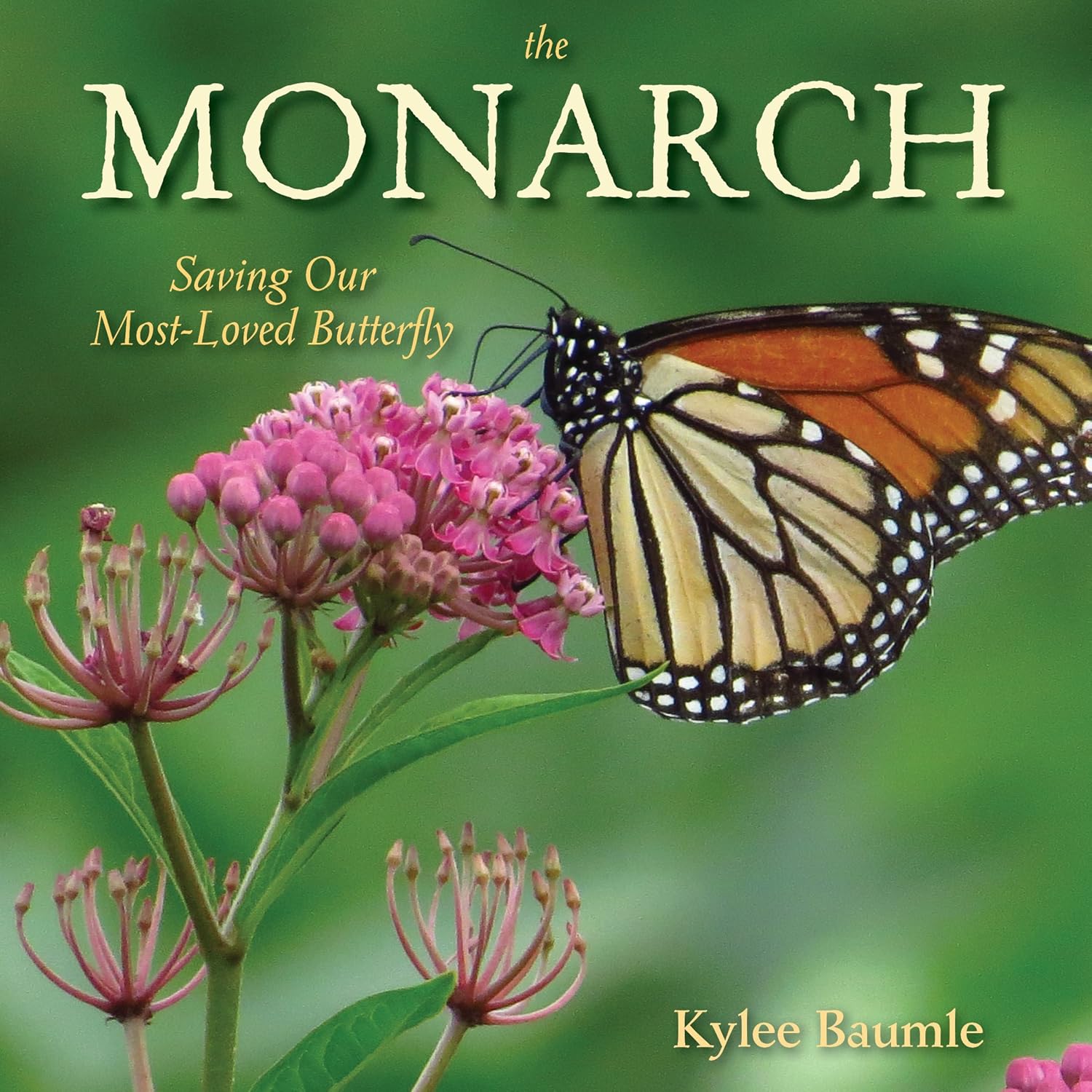 Butterfly Lady – Page 3 – Education, Gardening and Fun: Spreading the ...